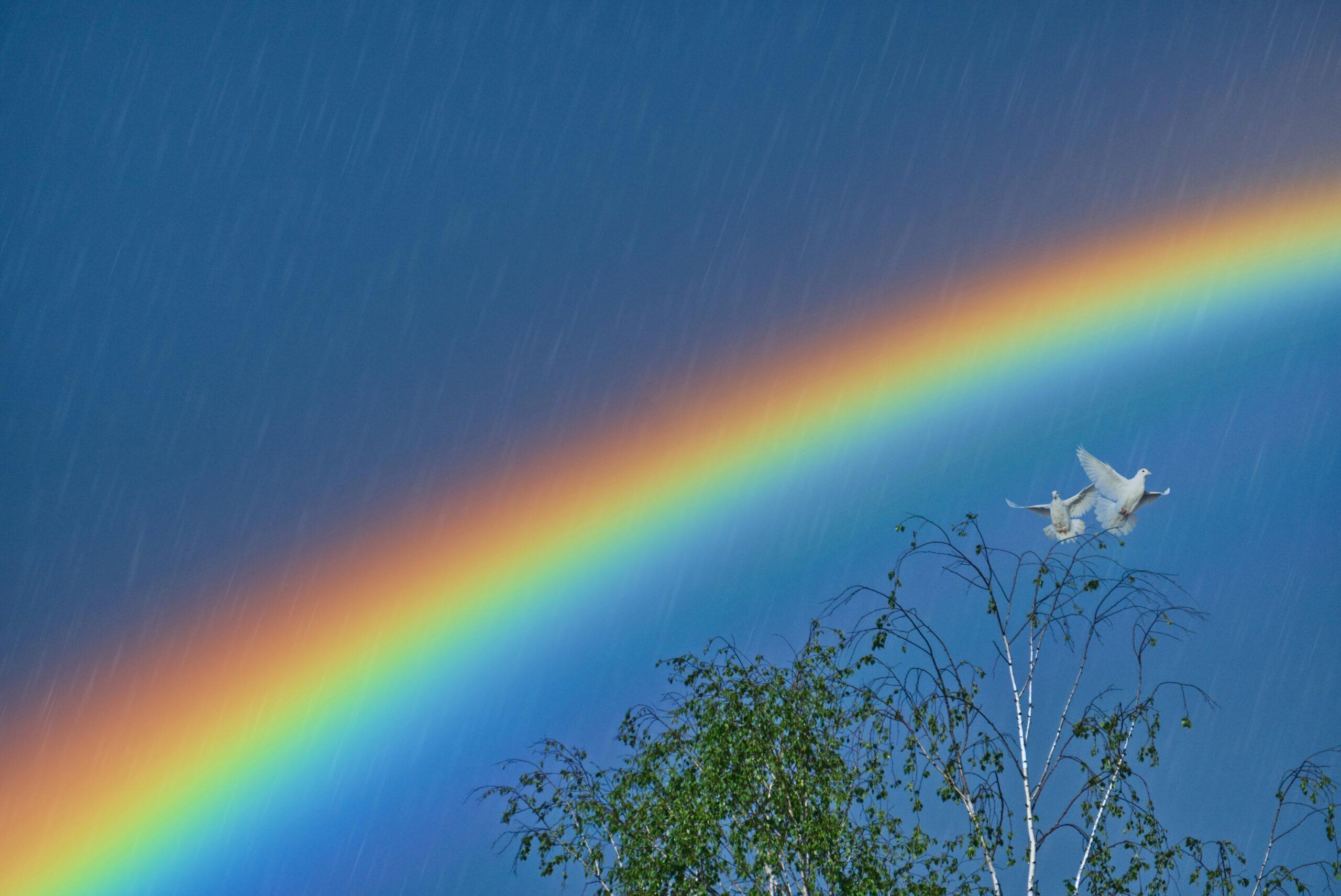 Parler de la météo en français : vocabulaire et expressions ...